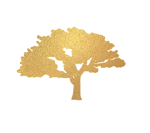 Our Logo — Life of Joy Foundation, Inc.