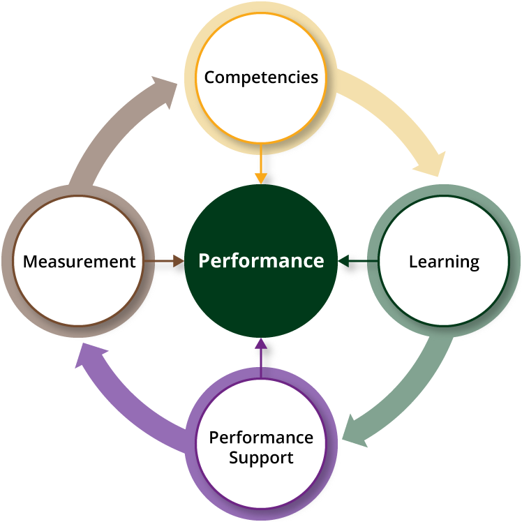 Pricing and the performance improvement cycle — Ibbaka