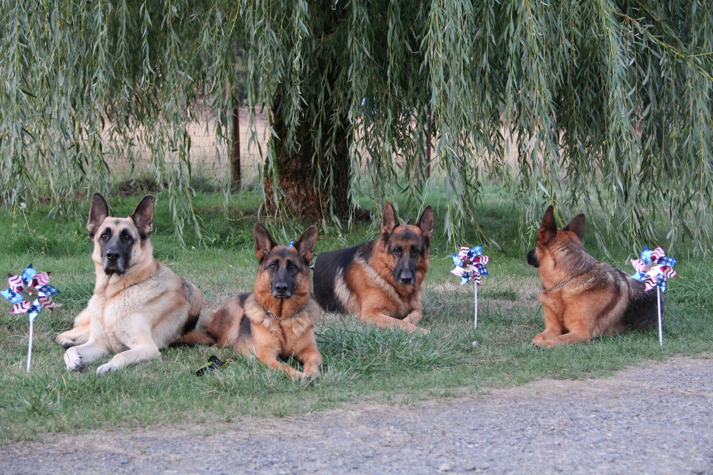 Appointments 3 — Pound Arts