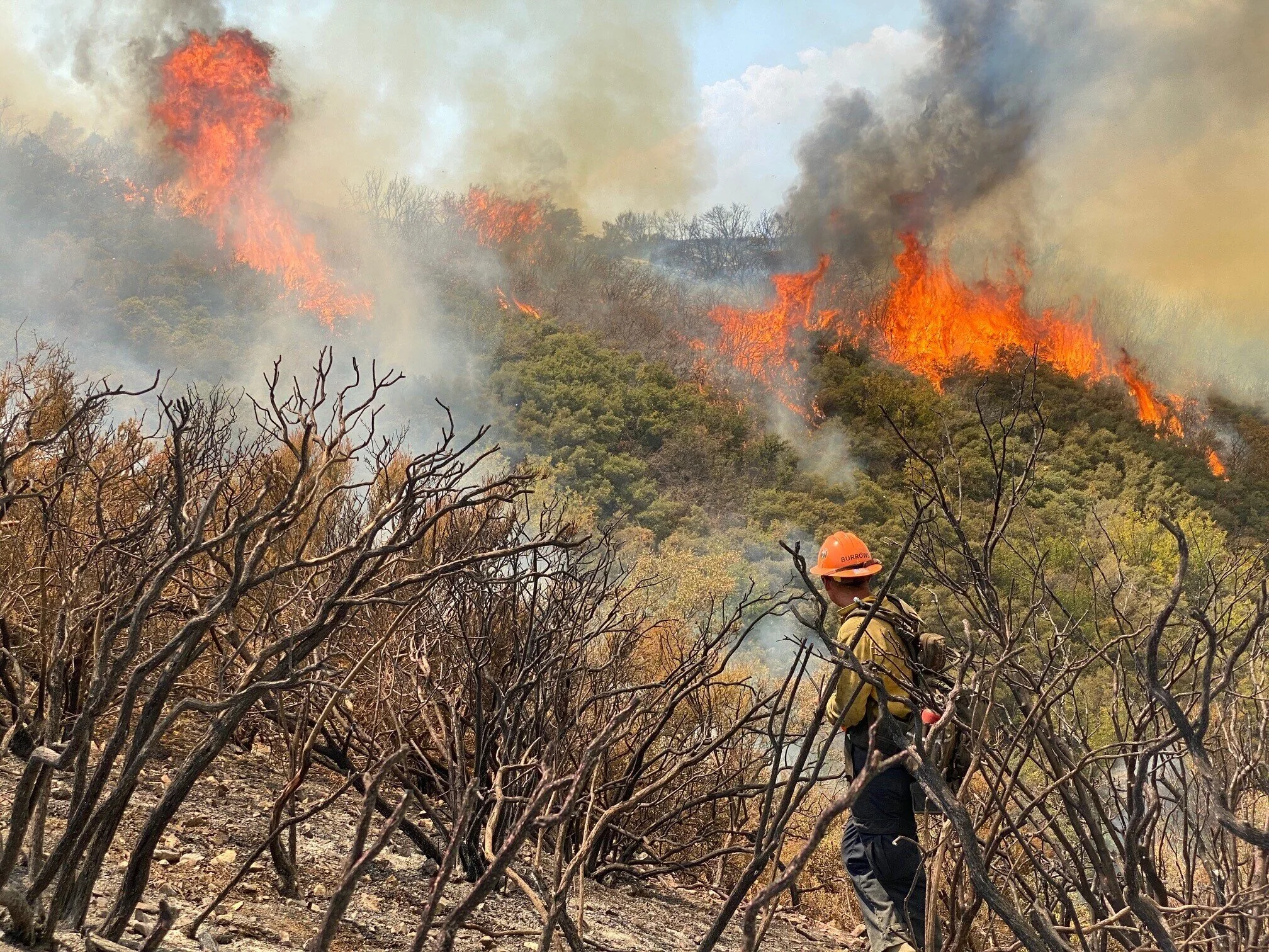 About Hand Crew Firefighters — Orange County Fire Authority