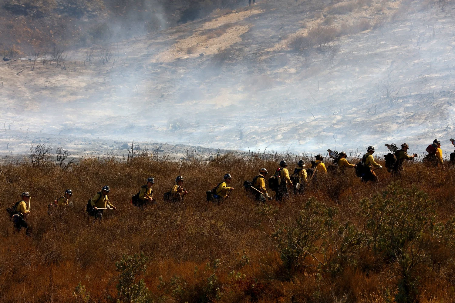 Orange County Fire Authority