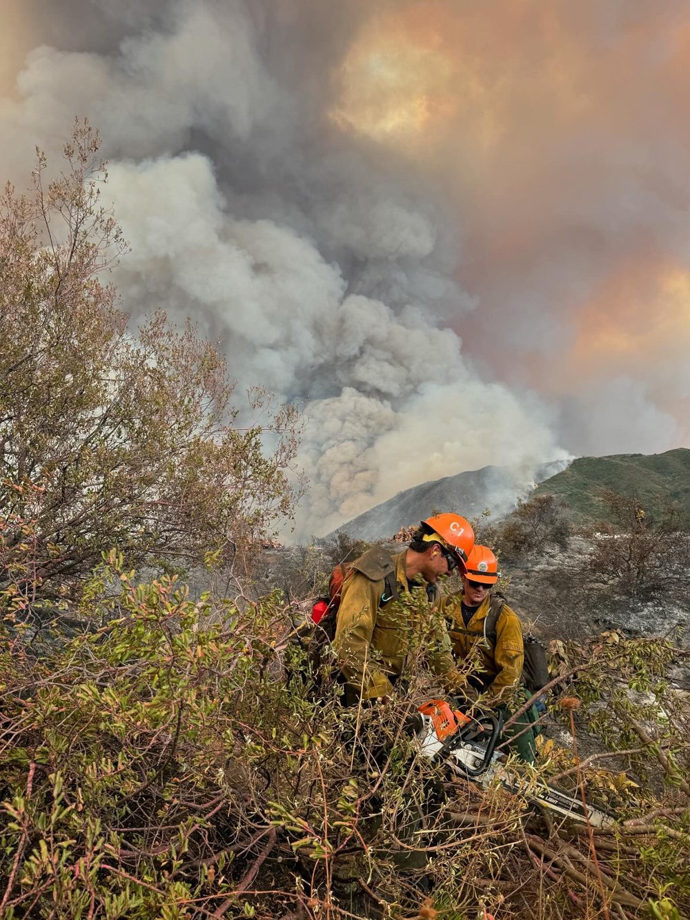 About Hand Crew Firefighters — Orange County Fire Authority