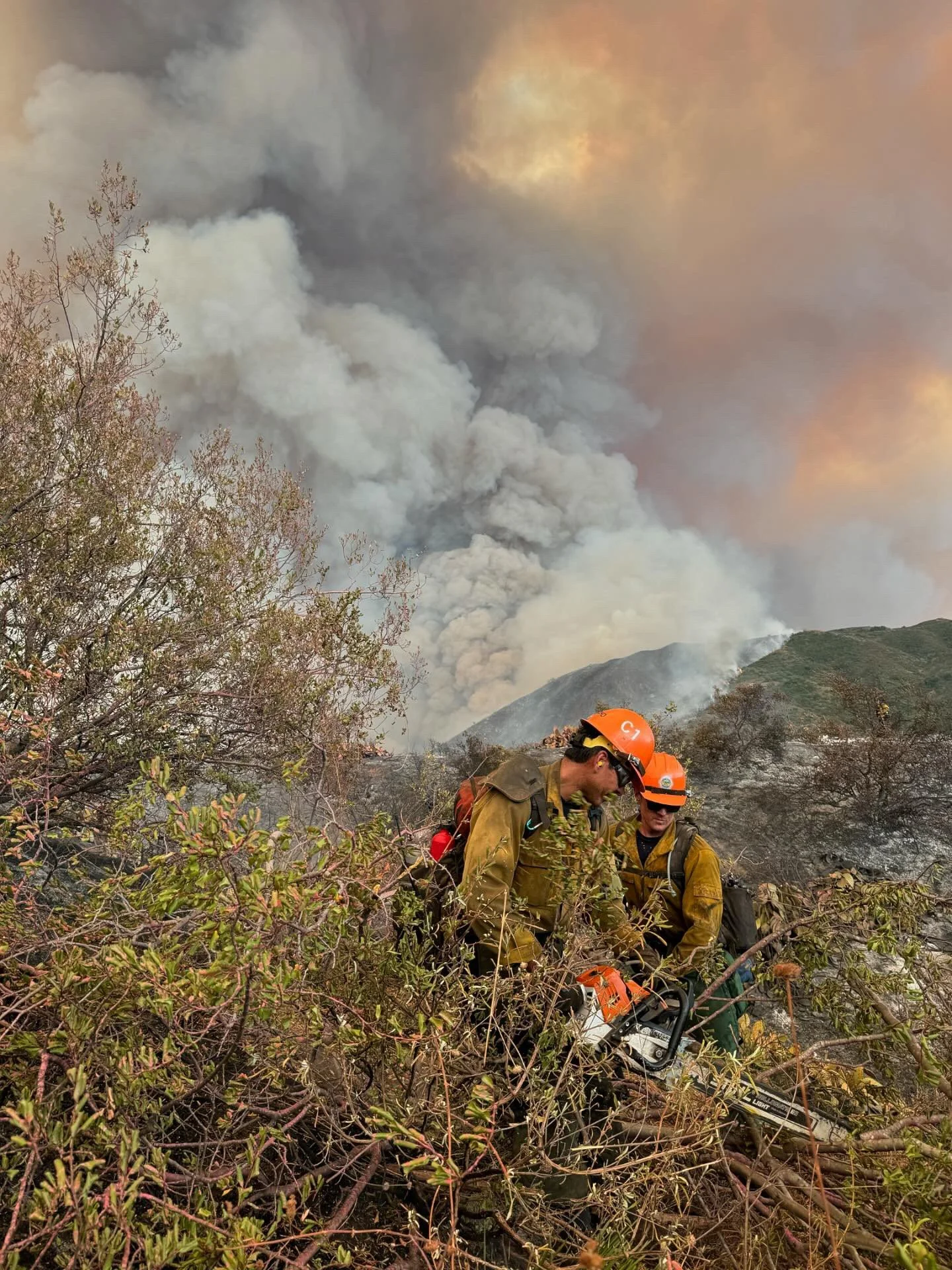 About Hand Crew Firefighters — Orange County Fire Authority