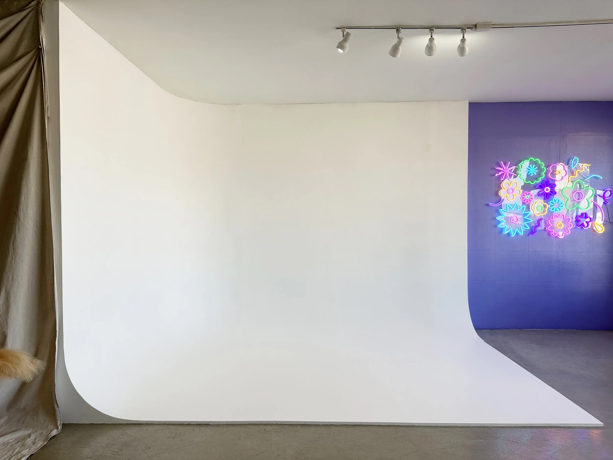 YELLOW the Photo Studio