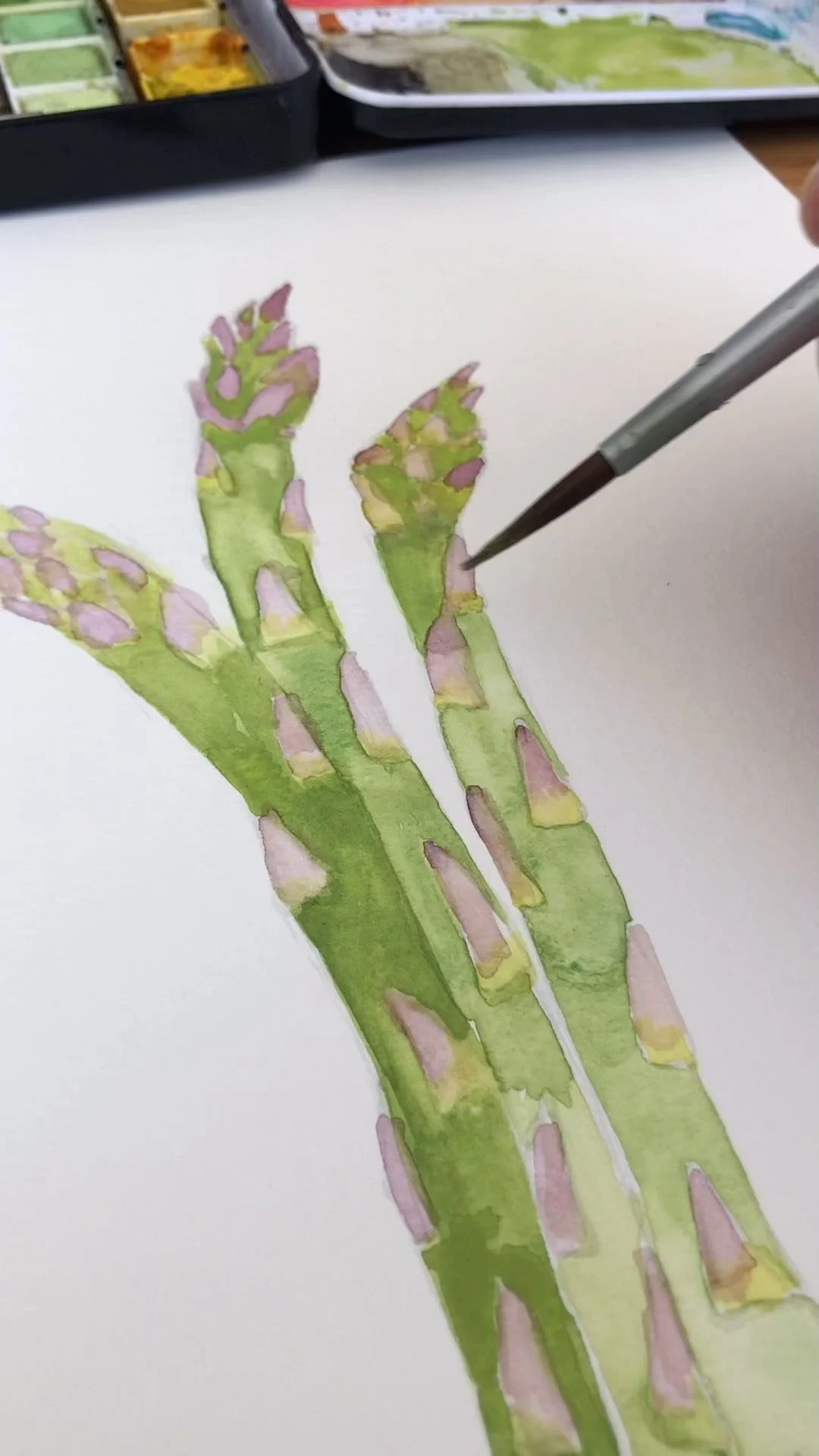 WHERE TO FIND ME — Maria DeVito Palmer Designs