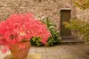 Gallery — Bansha Castle