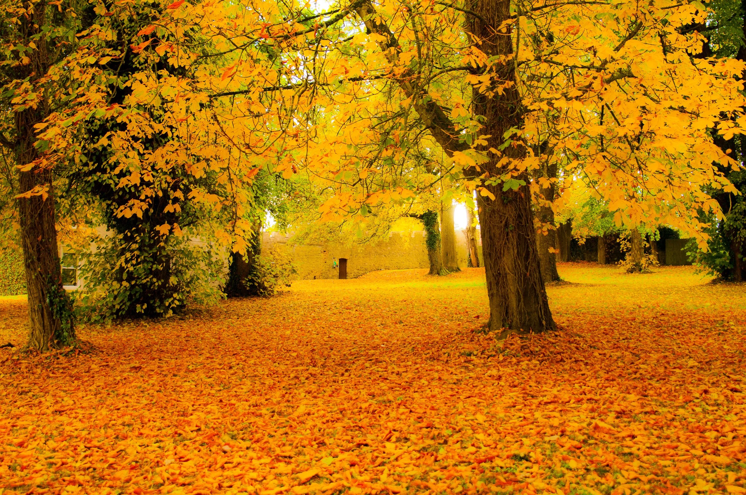 Gallery — Bansha Castle