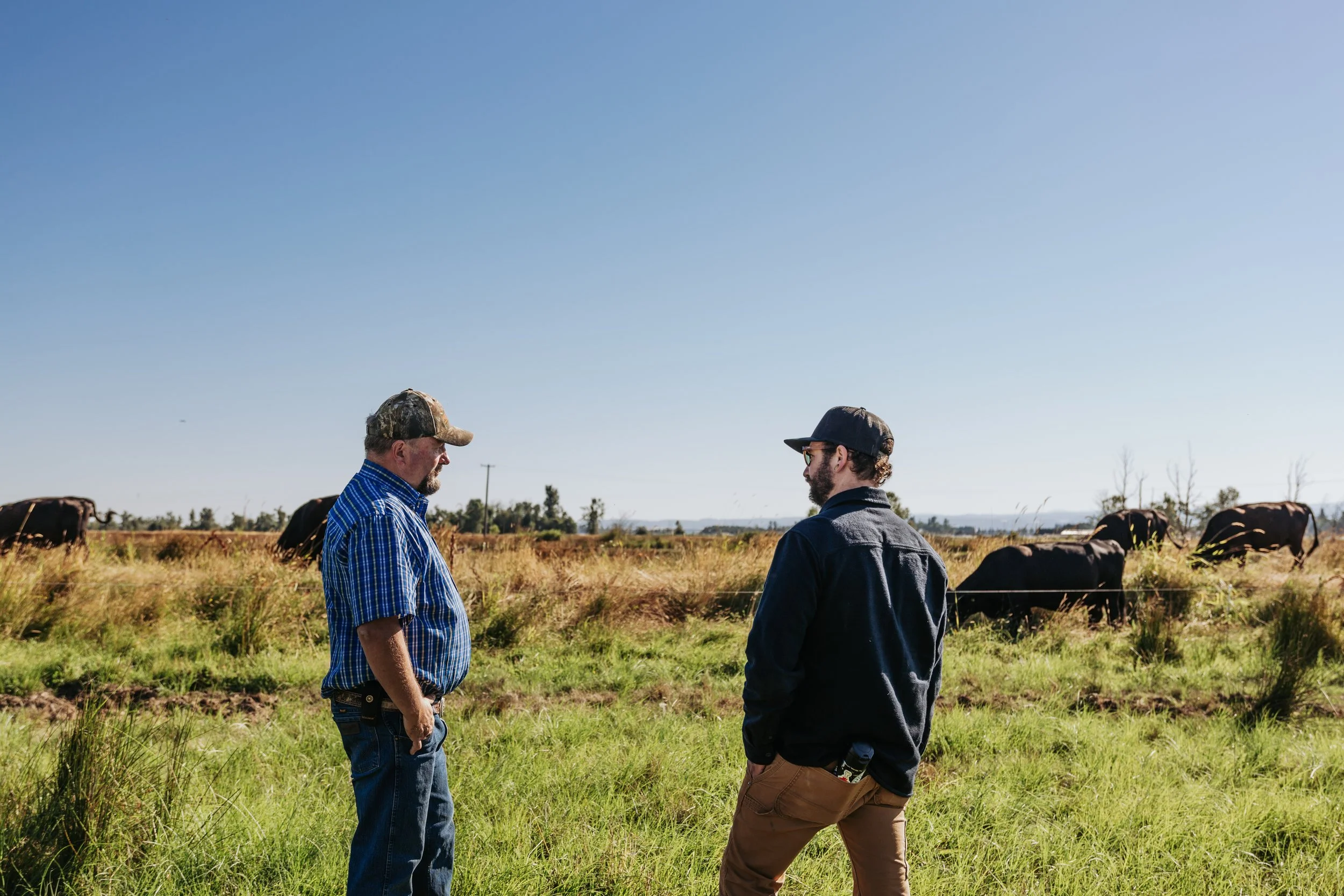 Traceability — Revel Meat Co