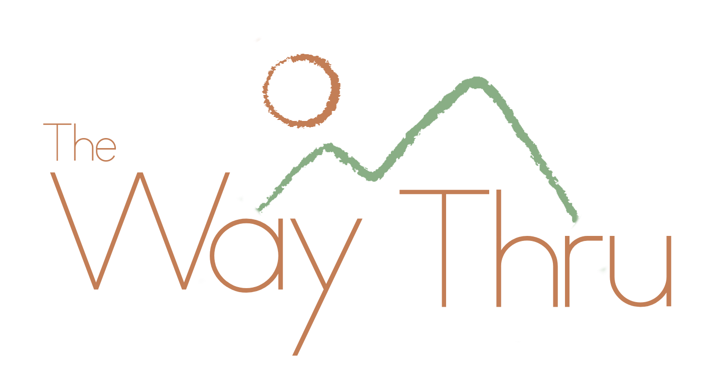 individual coaching — The Way Thru