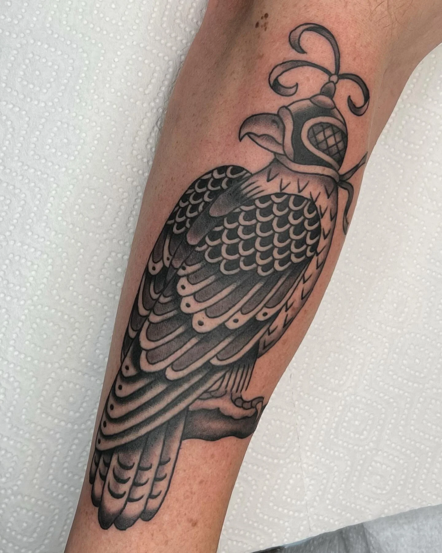 Traditional Falcon Tattoo