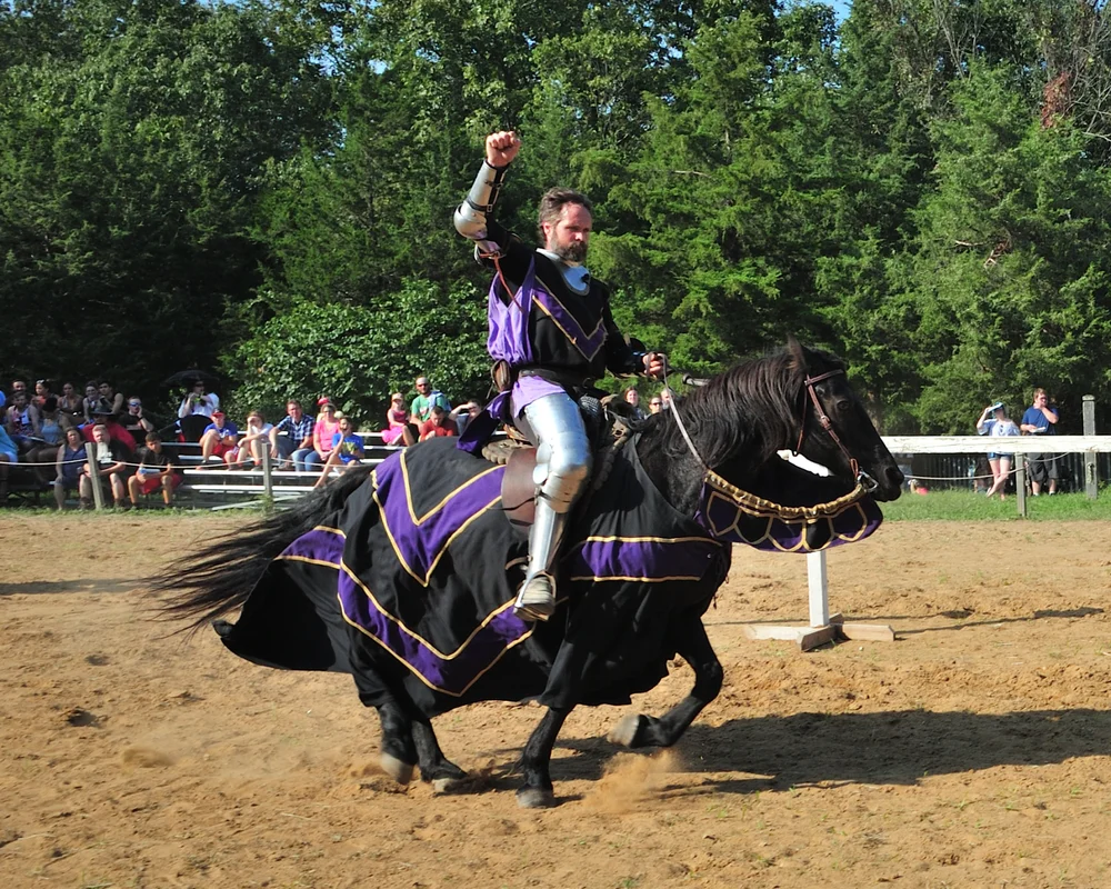 Noble Steeds — Equus Nobilis