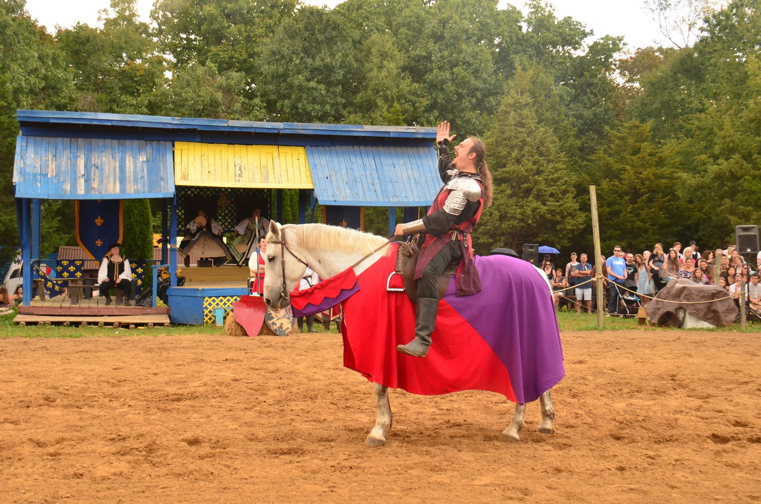 Noble Steeds — Equus Nobilis