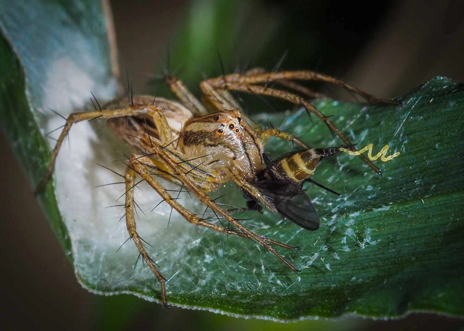 April 2023 Comp Winners — Caulfield Photographic Society