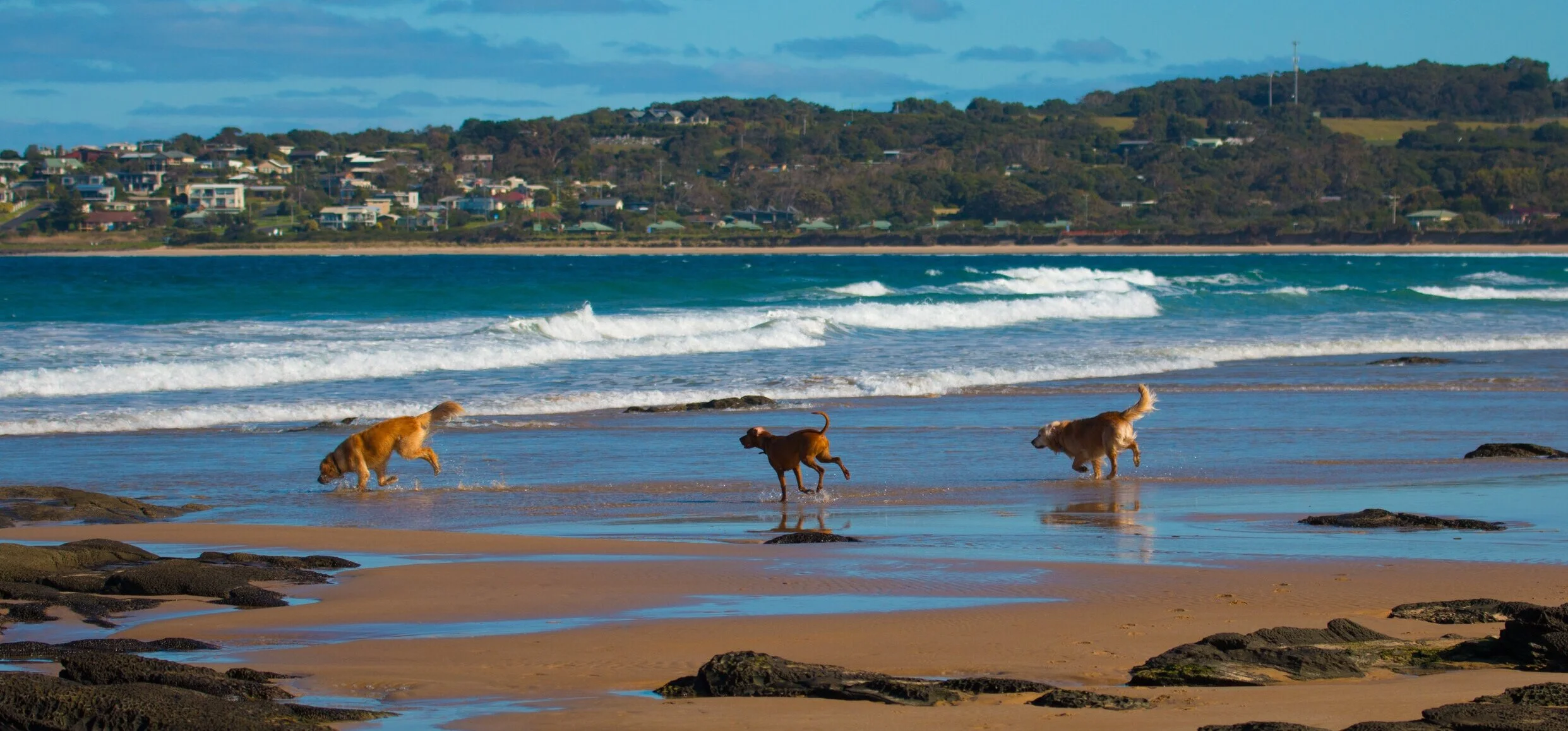 Otway Getaways Apollo Bay Holiday Accommodation - Pet Friendly ...