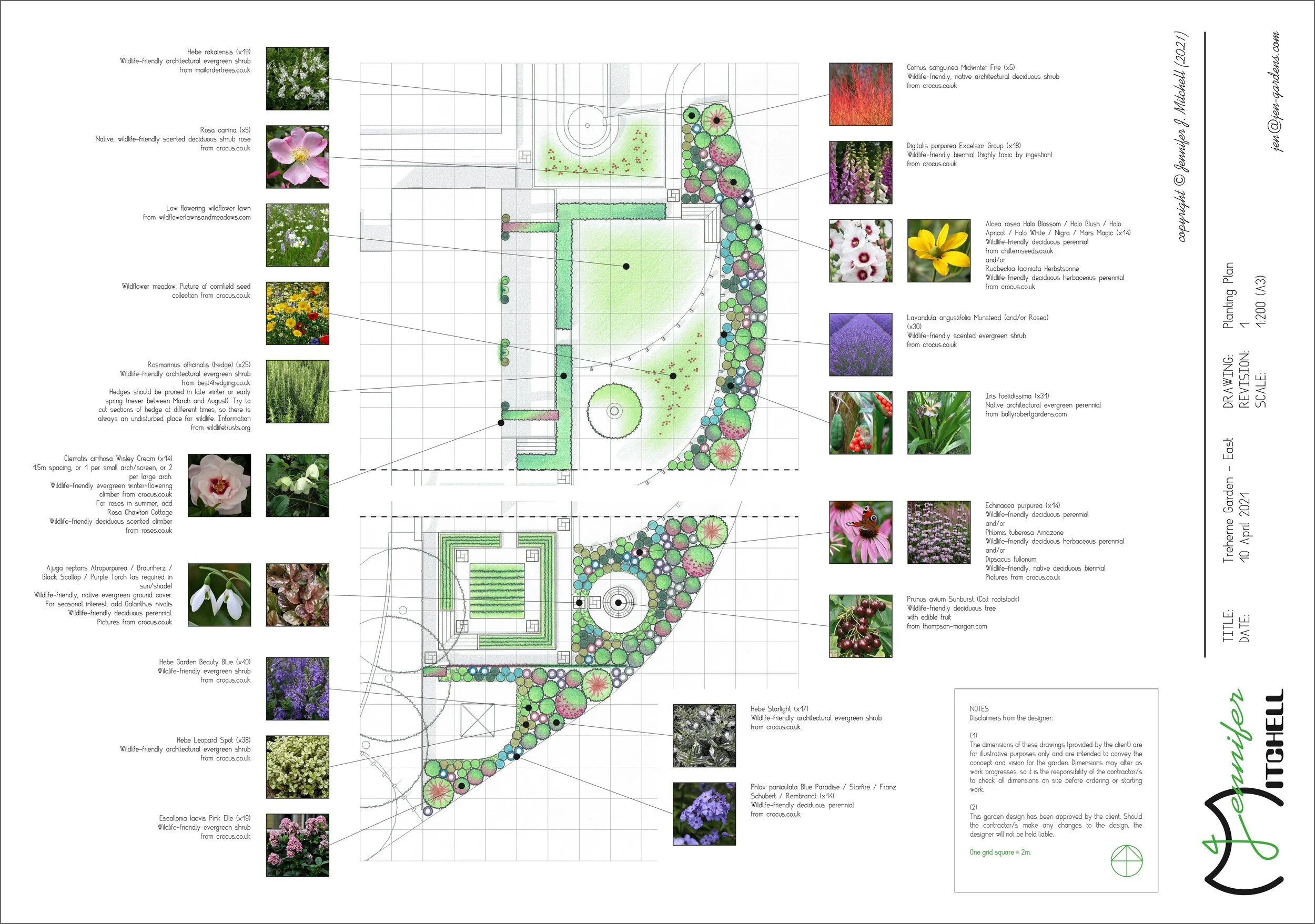 Treherne Garden — Jennifer Mitchell Garden Design
