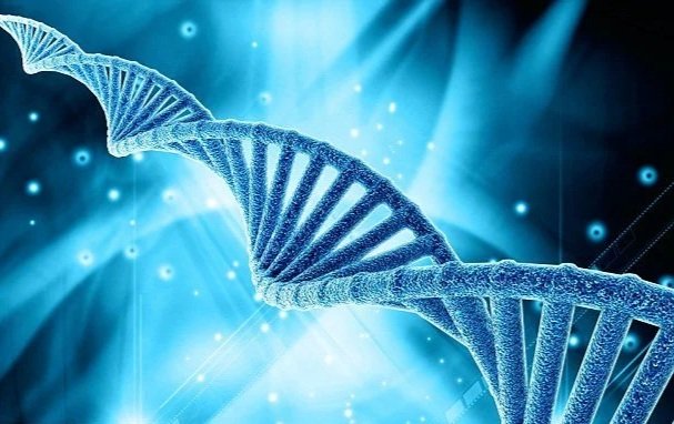Salmon DNA Facials (PDRN): The Secret to Skin Repair and Radiance ...