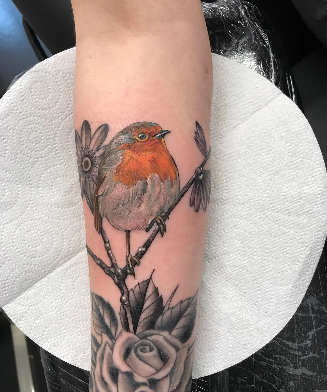 American Robin Tattoo