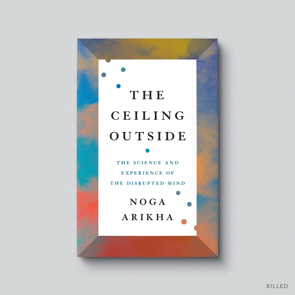 The Ceiling Outside Book Cover Design — Ann Kirchner