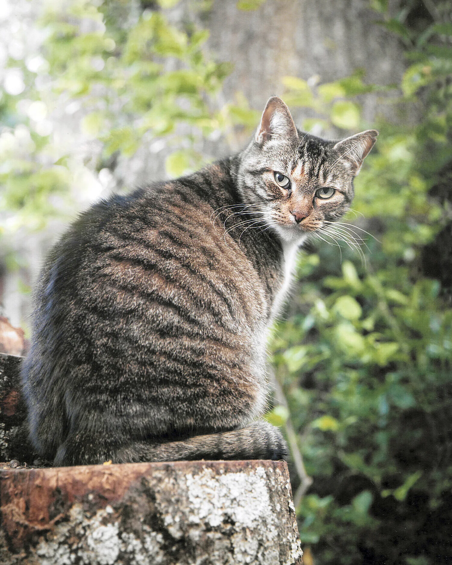 Commissions — Laura Farrell Photography