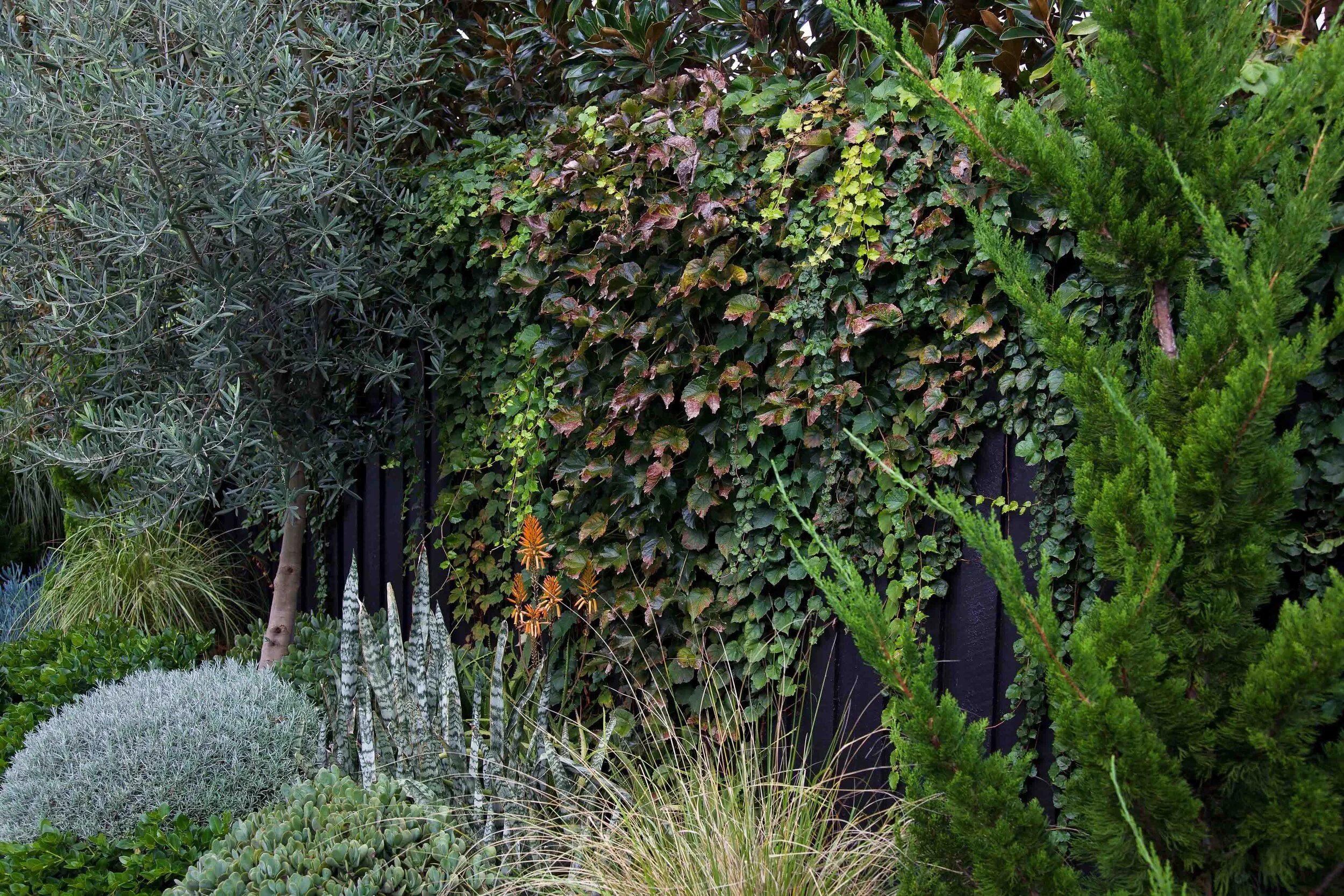 SERVICES — Impressions Landscape - Design