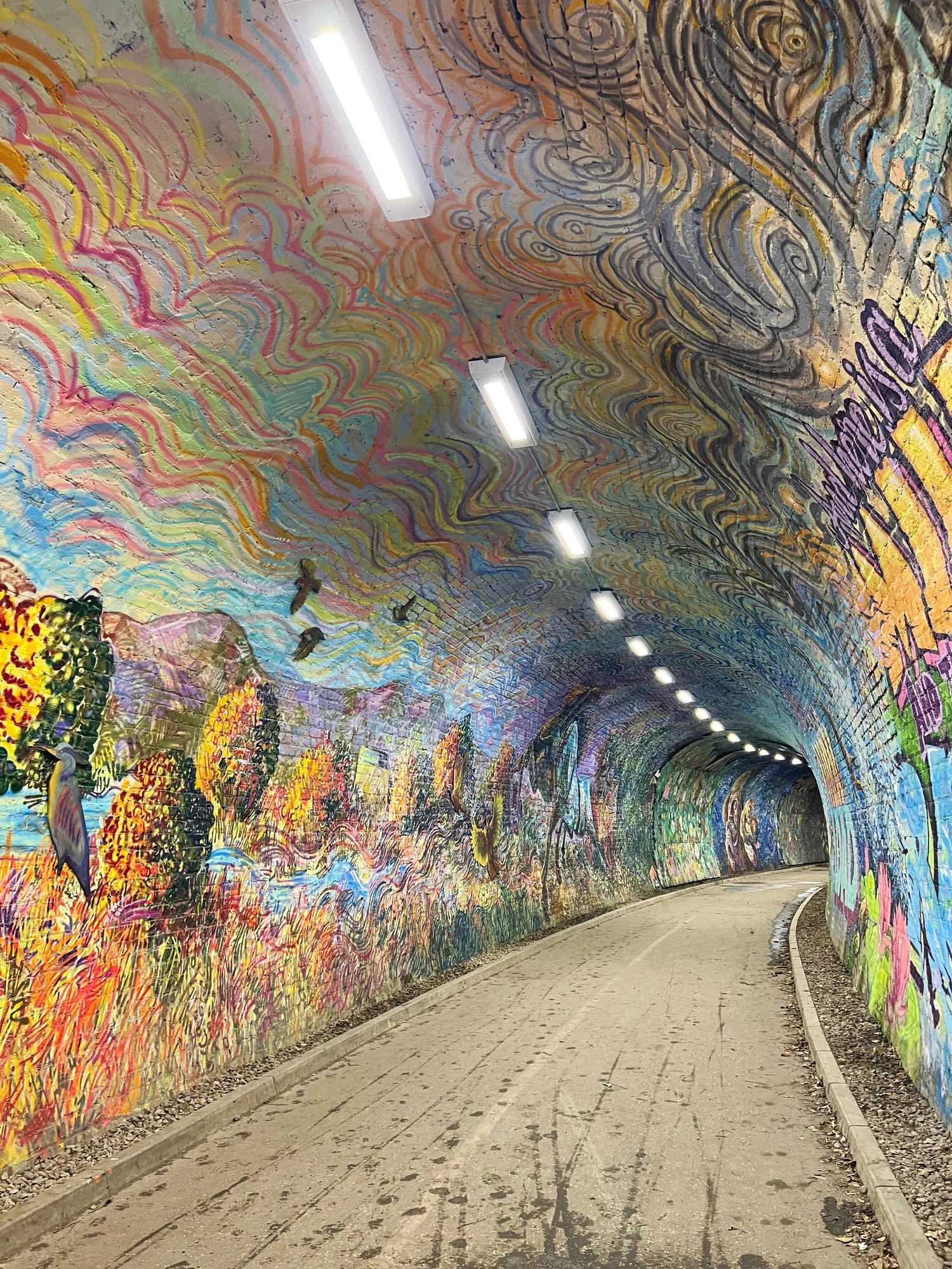 Colinton Tunnel - Things to do in Edinburgh with kids — apple franca