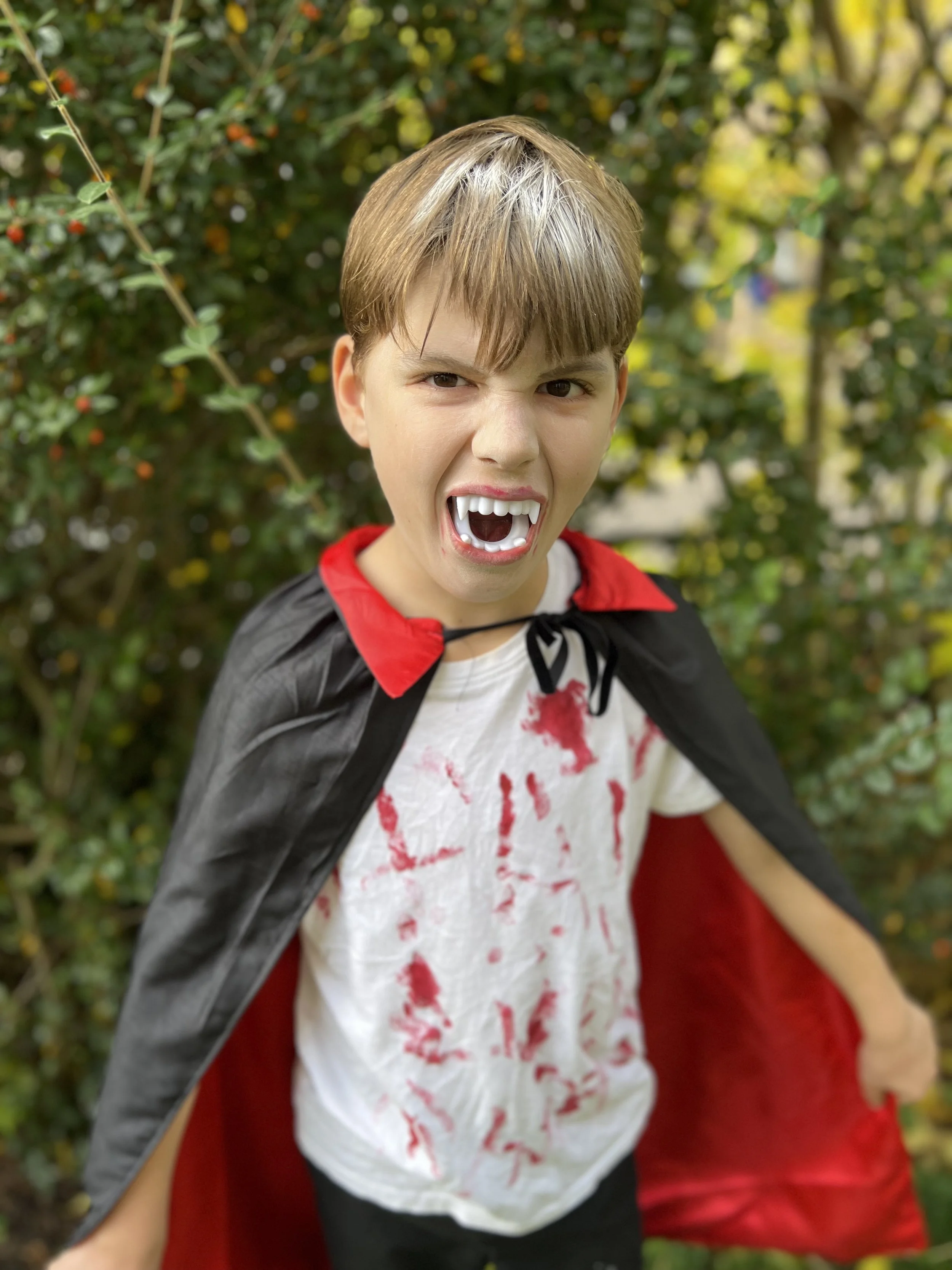 DIY Kids Halloween Vampire Cape Apple Franca DIY Kids Halloween Vampire Cape Apple Franca