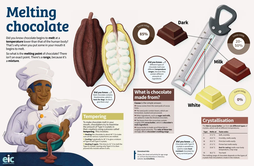 Chocolate infographic, Educational poster — Dan Bright Studio ...