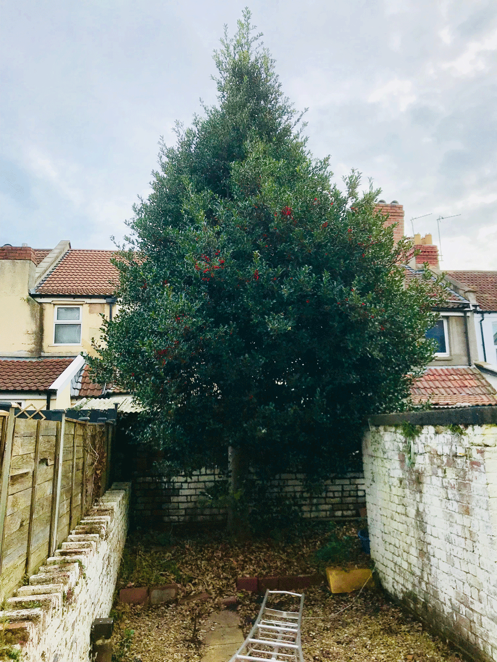Bristol Tree Surgery - Simply Wood Bristol - Gallery — Simply Wood ...