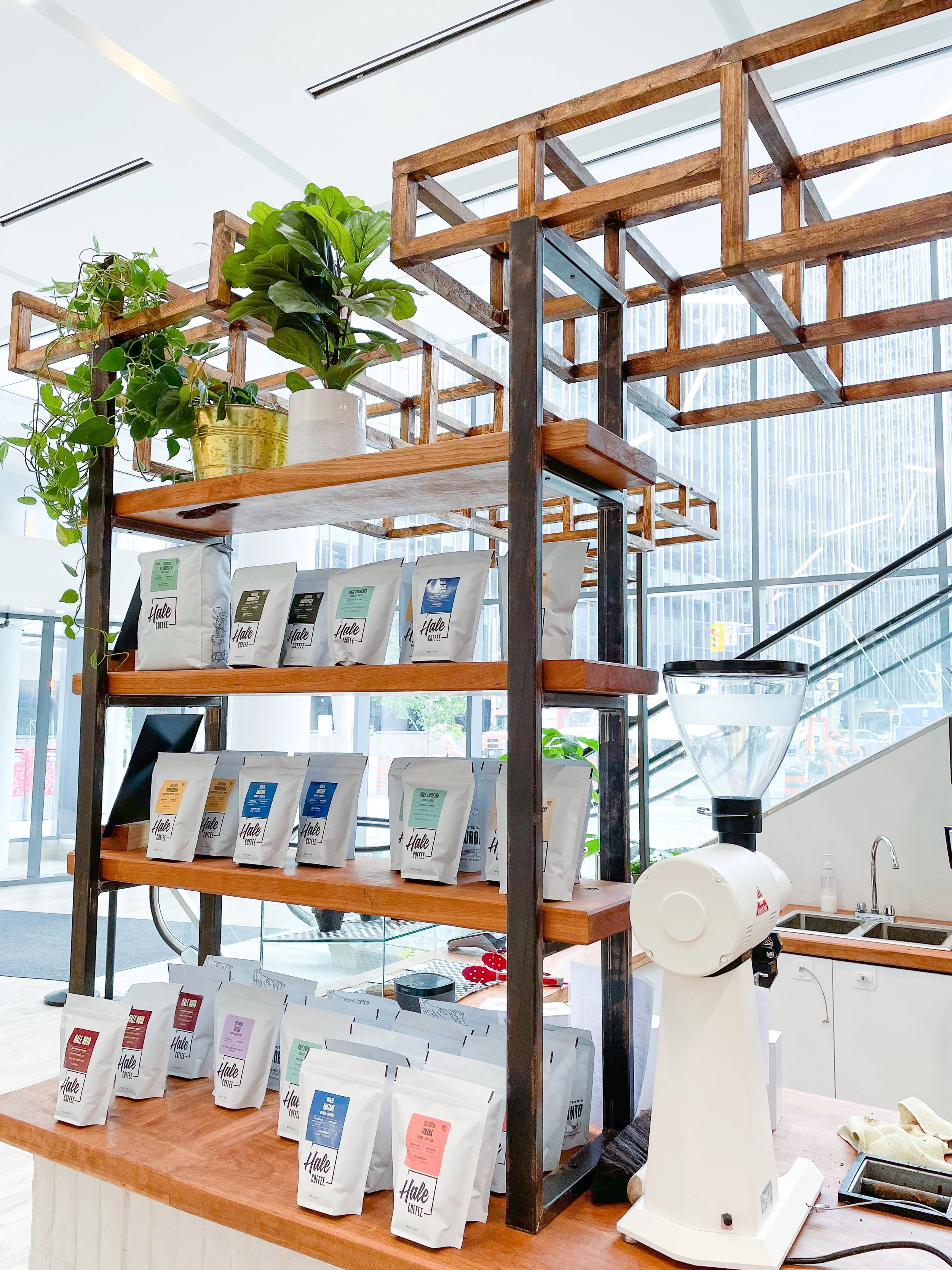 Cafe Interior Design – Hale Coffee Toronto — Sansa Interiors