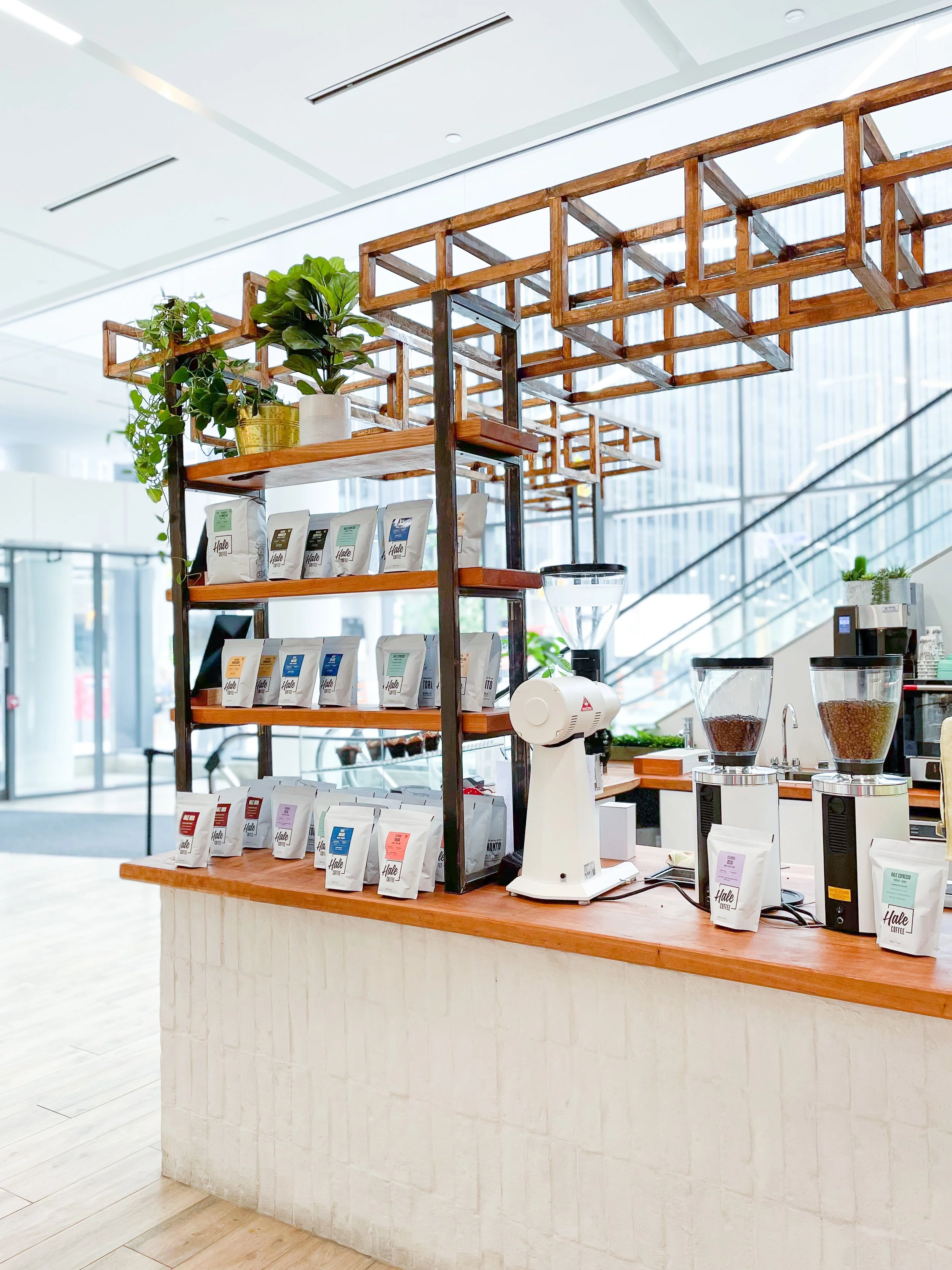 Cafe Interior Design – Hale Coffee Toronto — Sansa Interiors