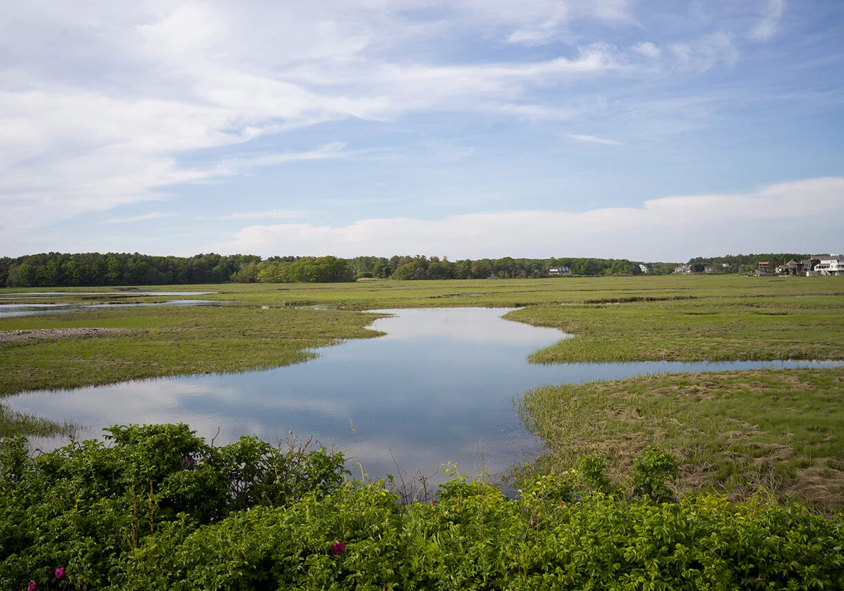 Rye Motor Inn + Swim Shop