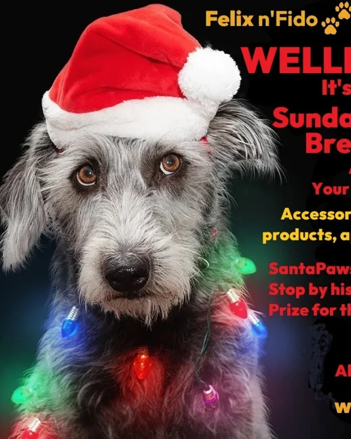 What's On — BREWTOWN