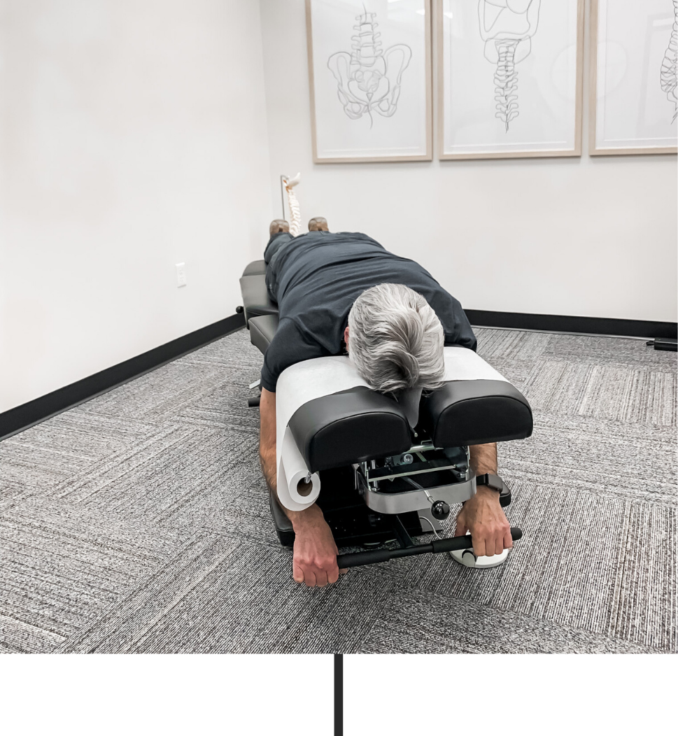The Vertebrae Clinic