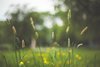 Meet our therapists — Liverpool Psychotherapy + Counselling Centre