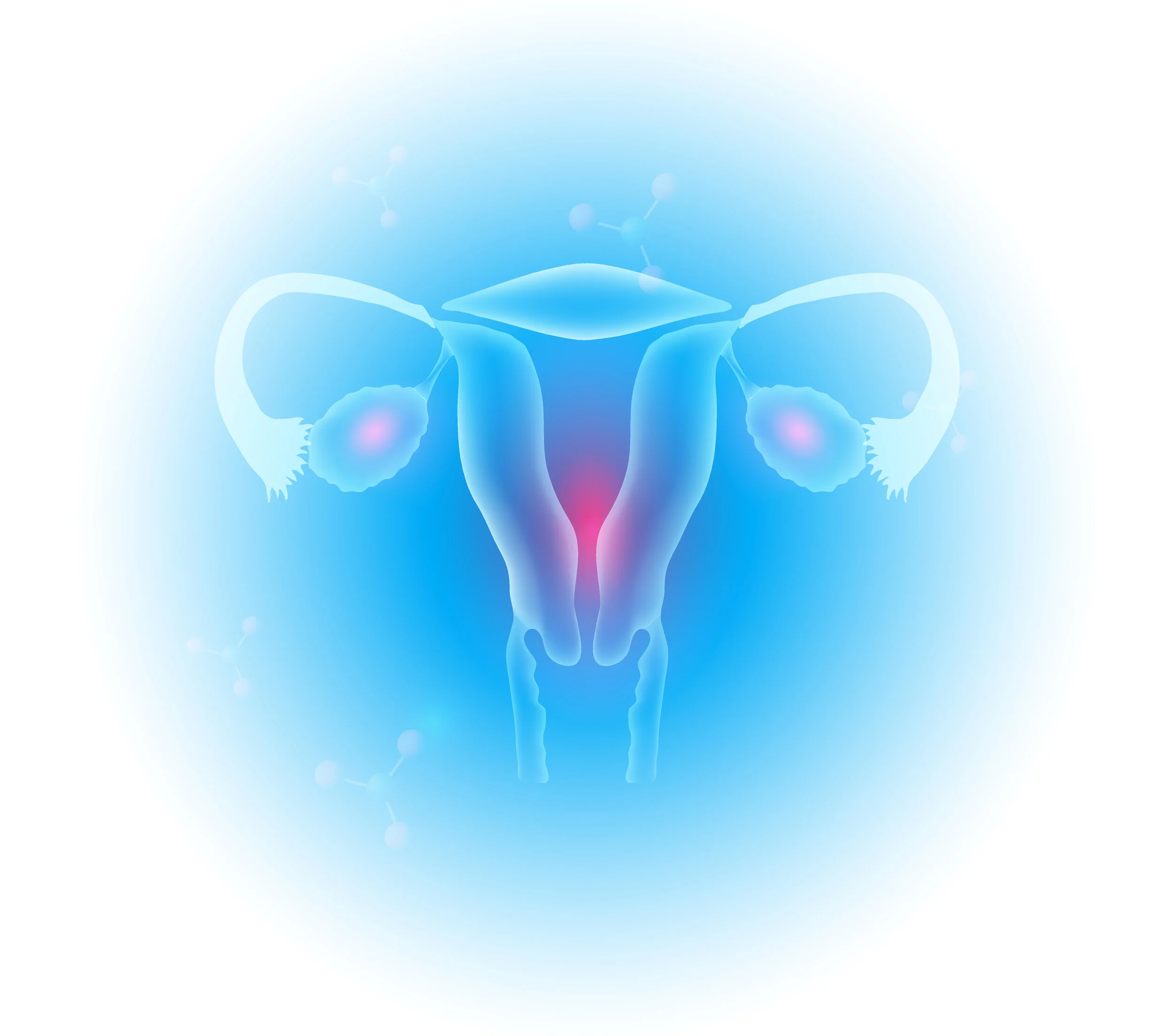 Understanding PCOS — The Holistic Health Approach