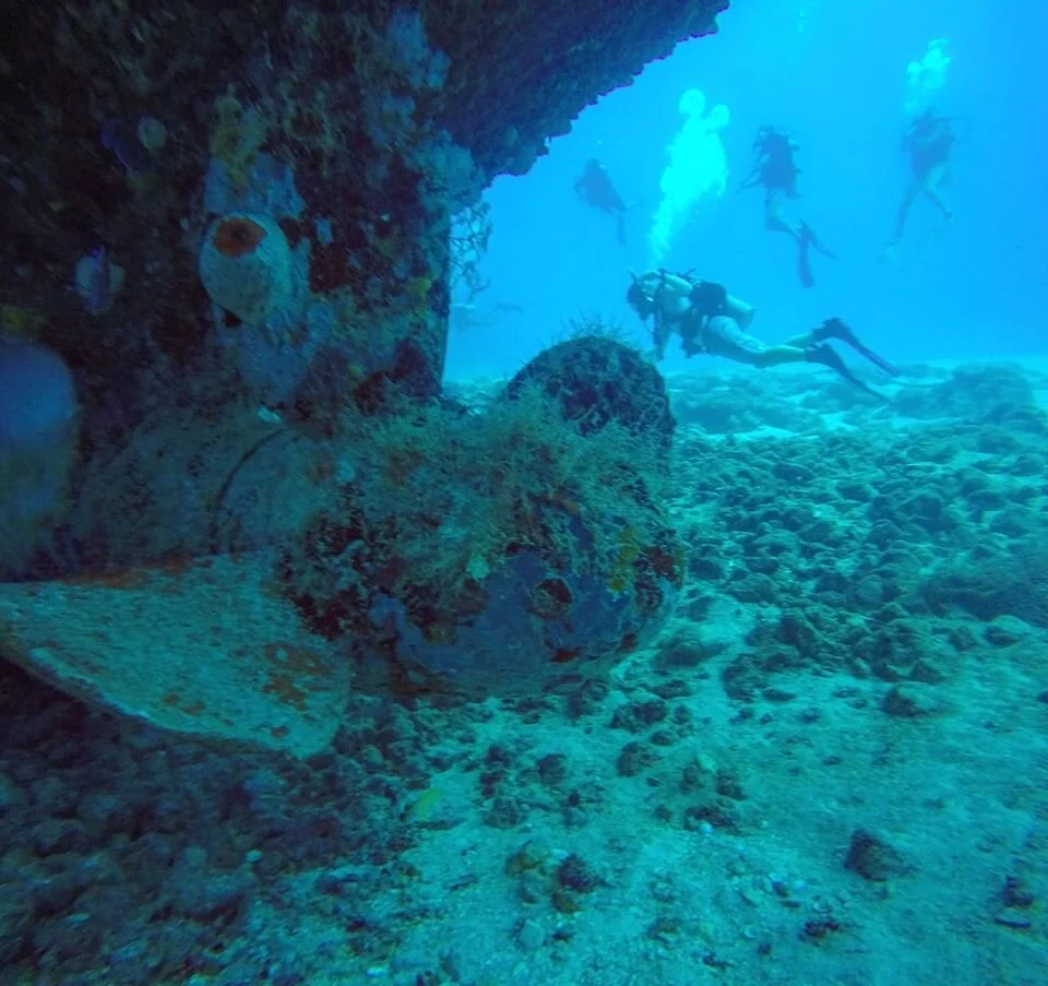 Specialty Courses — Cane Bay Dive Shop - St Croix