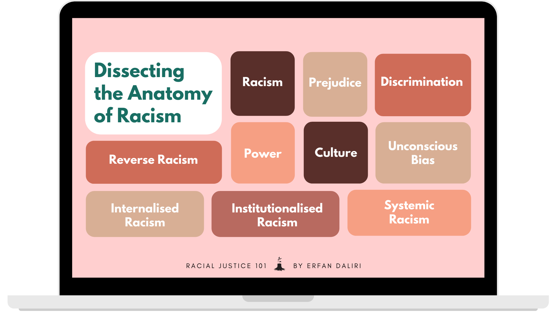 Racial Justice 101 - Anti-Racism Course — Erfan Daliri