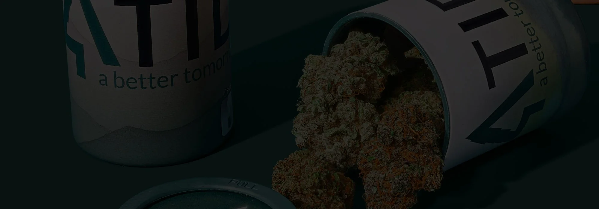 Lit Studio - High Impact Product Photography