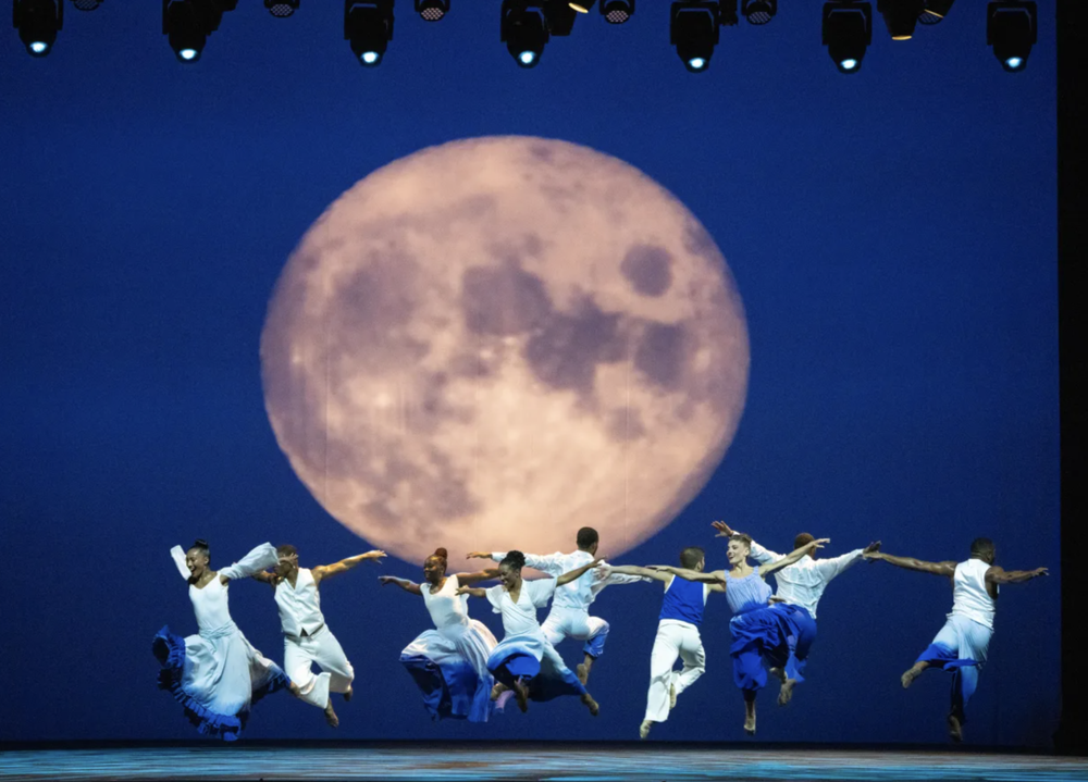 Sprung and Marley Vinyl Floor Rental — BALLETCOLLECTIVE