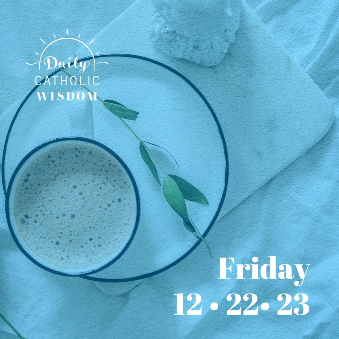 Blog — Daily Catholic Wisdom