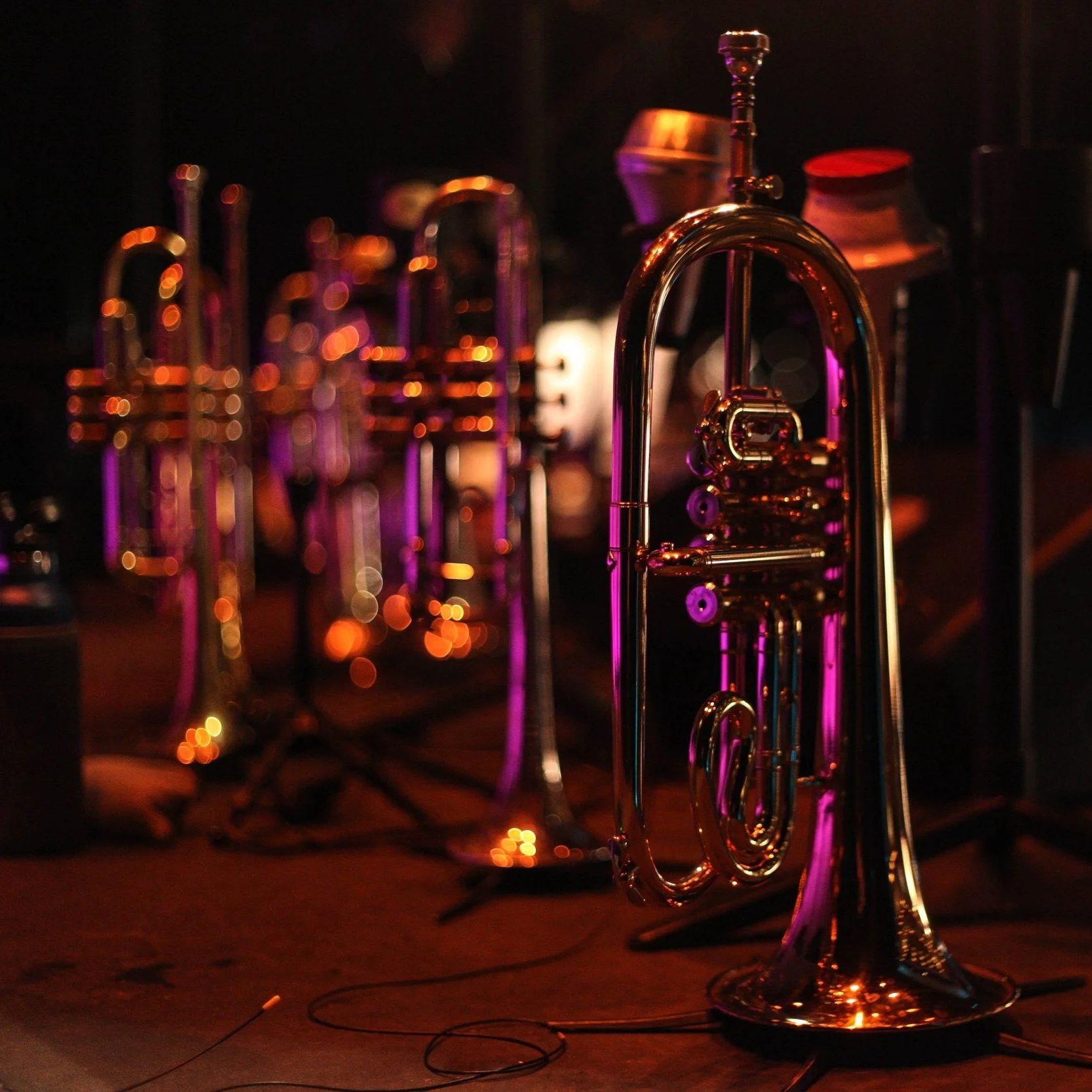 Meet The Musicians — Denver Brass