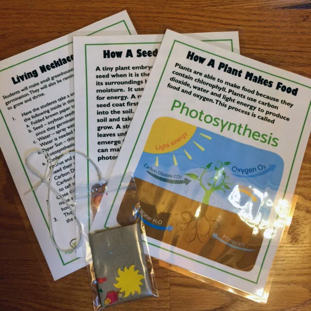 Soybean Science: Let's Sprout a Soybean! — #TeachKyAg