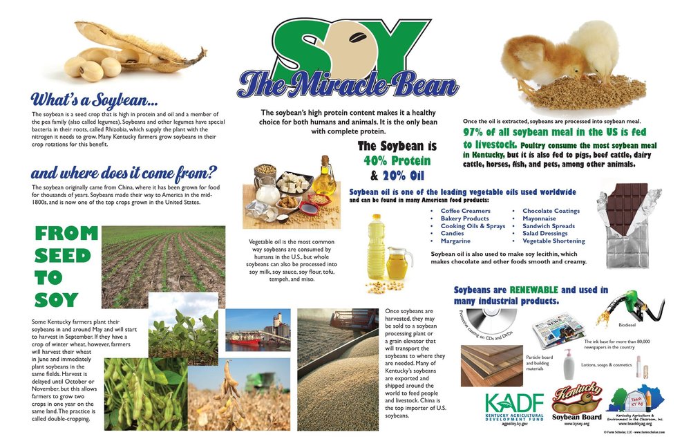 All About Soybeans — #TeachKyAg