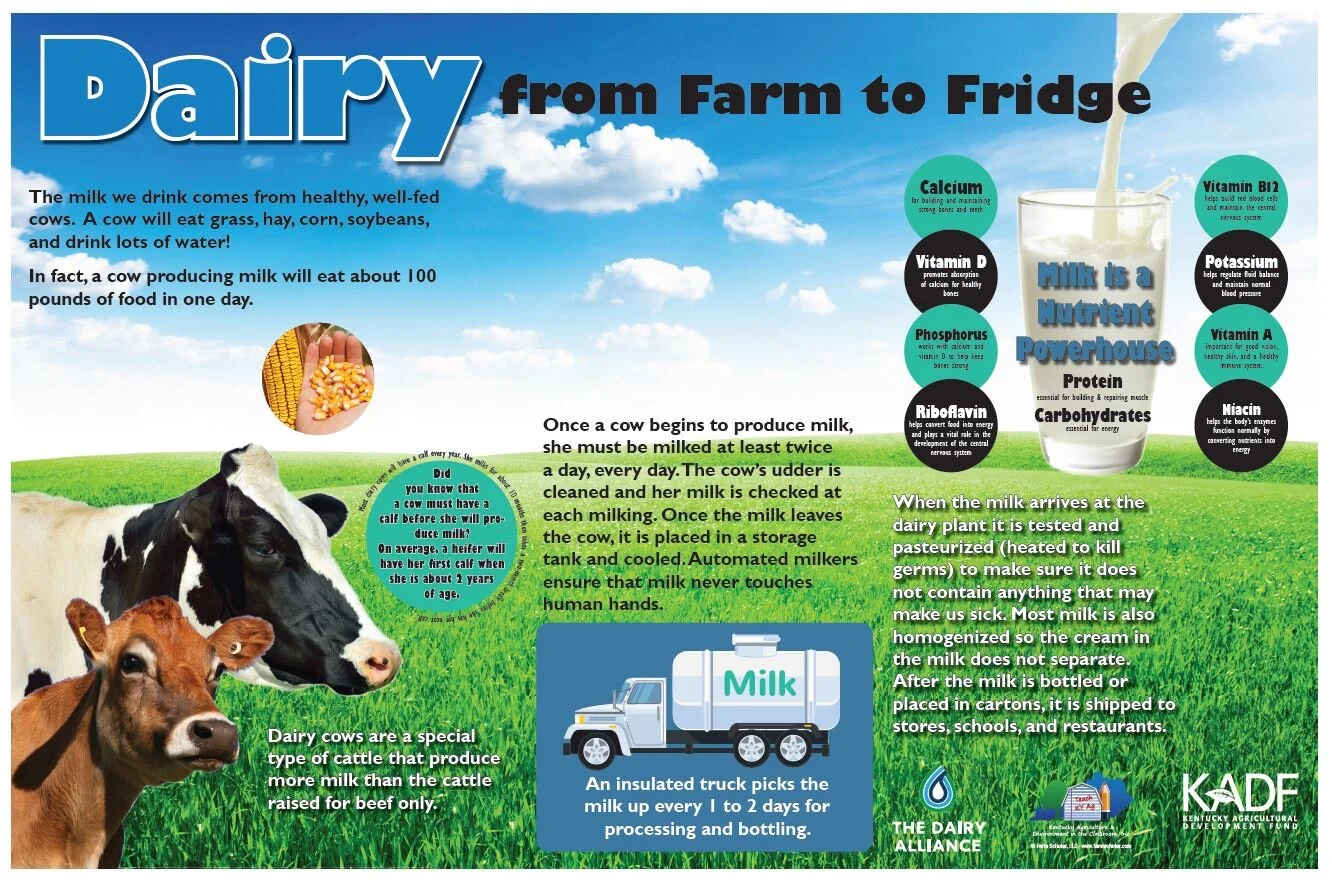All About Dairy — #TeachKyAg