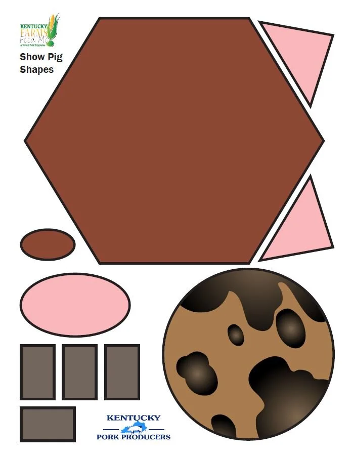 Make a "Shape-ly" Show Pig — #TeachKyAg