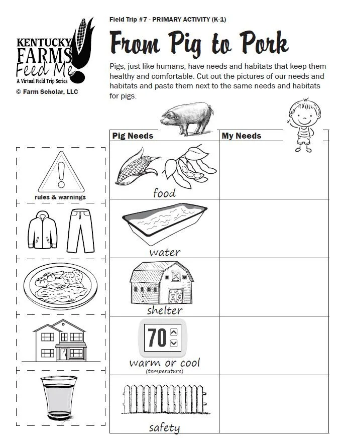 Investigating Pig Needs and Habitats — #TeachKyAg
