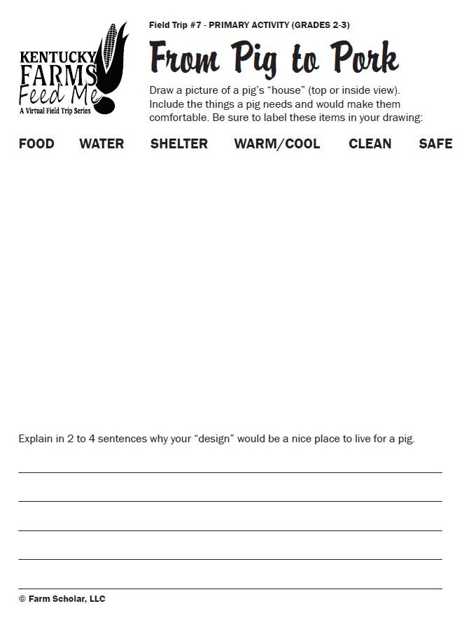 Investigating Pig Needs and Habitats — #TeachKyAg