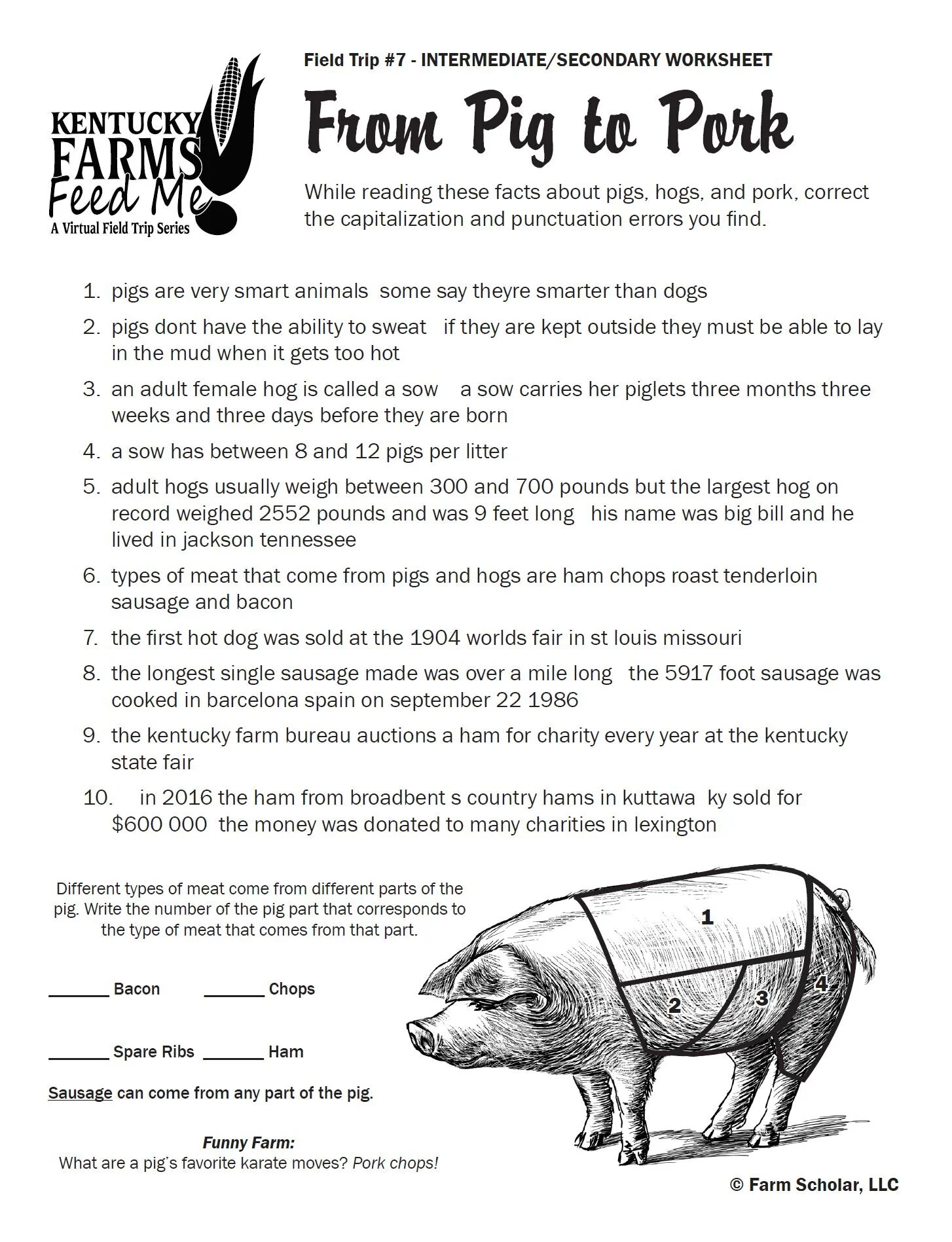 Correct The Pig Facts TeachKyAg