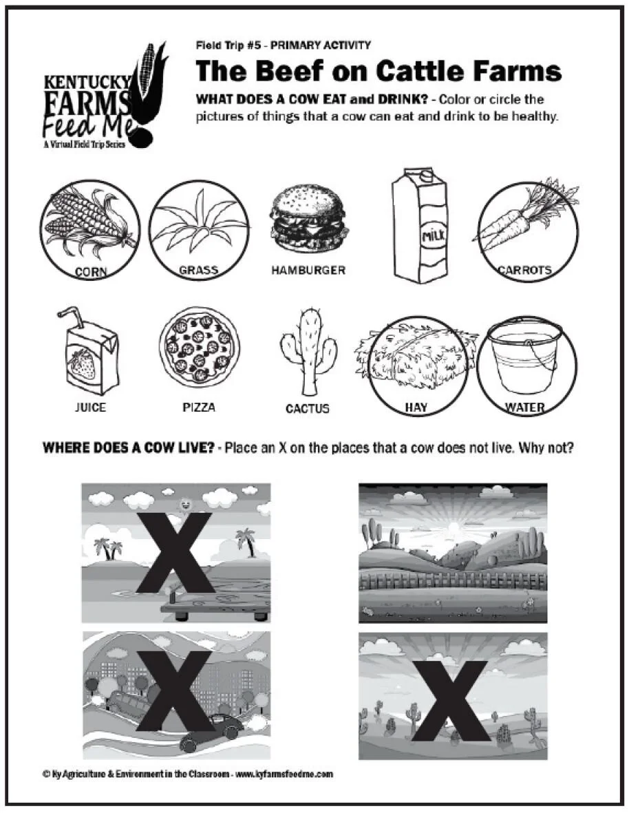 Beef Cattle Structures, Needs and Habitats — #TeachKyAg
