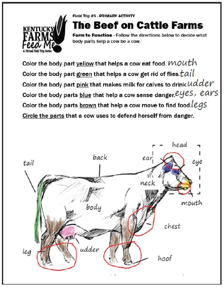 Beef Cattle Structures, Needs and Habitats — #TeachKyAg